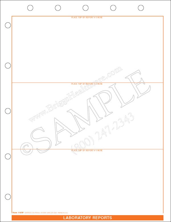 Laboratory Reports Mount Sheet