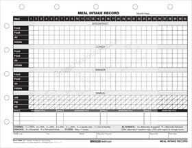 Food Intake Chart Template