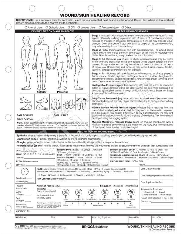 Wound Assessment Chart Template