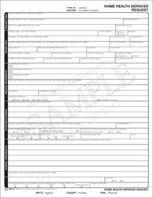 Products > Documentation > Home Health & Hospice > Nursing Forms ...