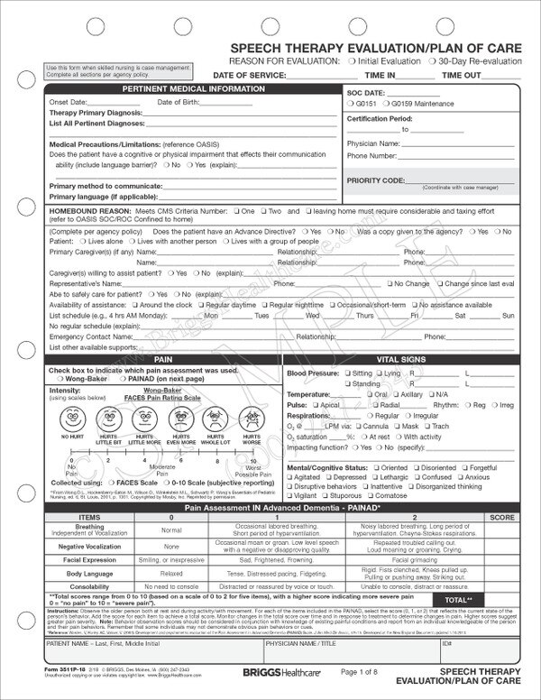Speech Therapy Evaluation/Plan of Care