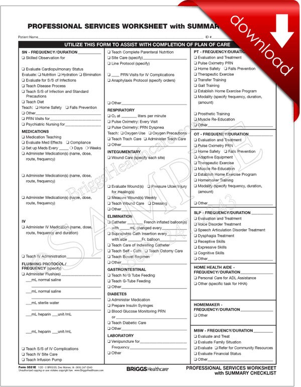 Professional Services Worksheet with Summary Checklist - DIGITAL FORM