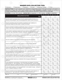 Fall Risk Assessment