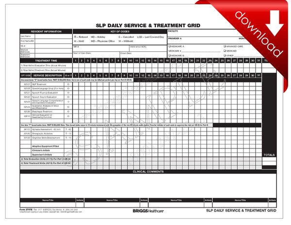 SLP Daily Service and Treatment Grid - DIGITAL FORM