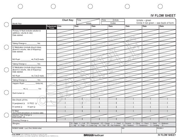 Nursing Charting Flow Sheet