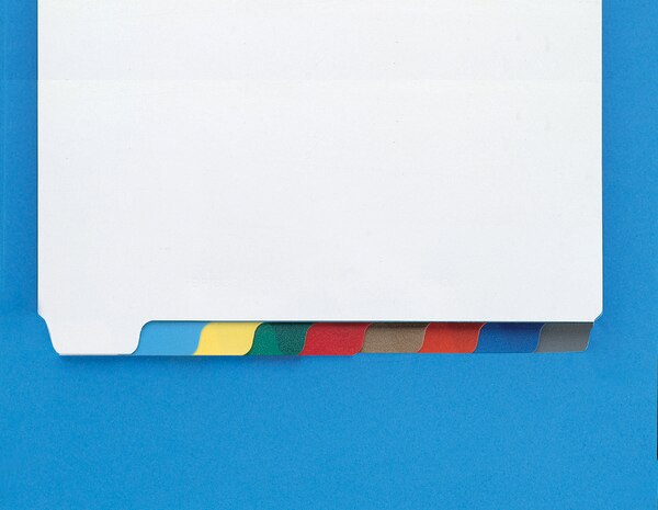 Chart Divider Set - Poly - Blank - 9 Tabs Bottom