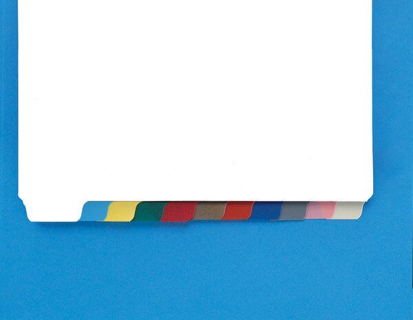 Chart Divider Set - Poly - Blank - 11 Tabs Bottom