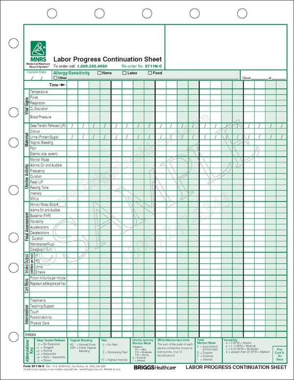 Labor Continuation Sheet