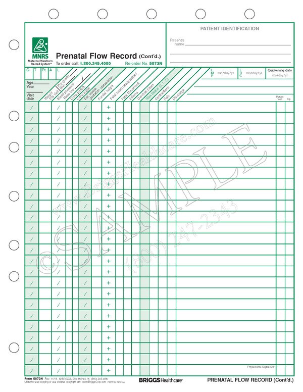 Prenatal Flow Record Continuation Sheet (MNRS)
