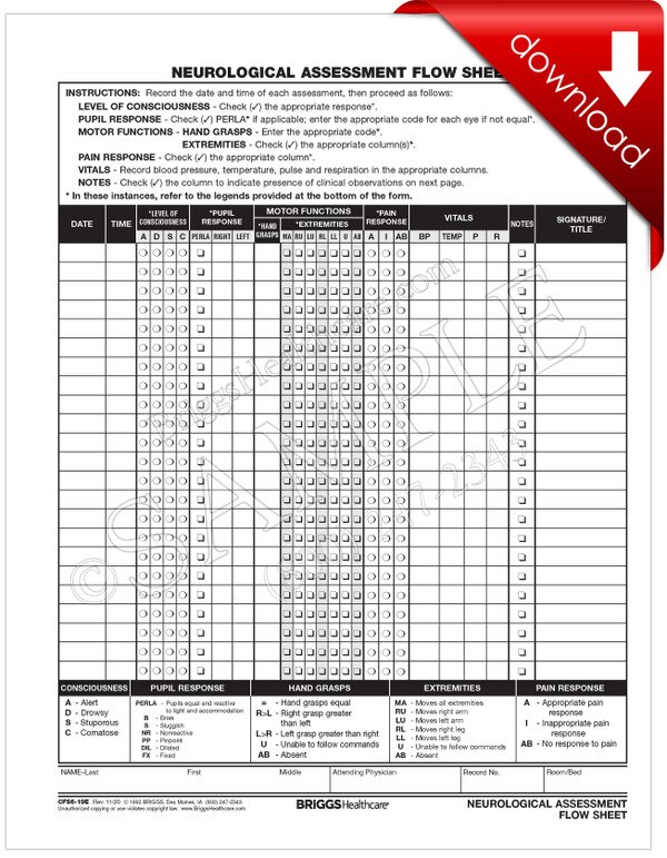Neurological Assessment Flow Sheet - DIGITAL FORM
