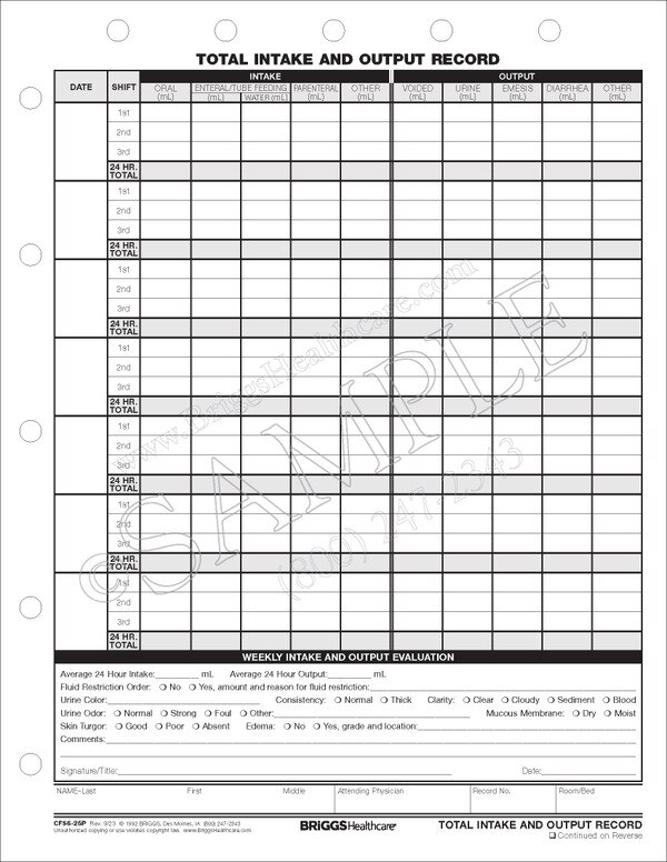 Total Intake and Output Record