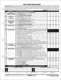 Products > Documentation > Long Term Care > Nursing Forms > Assessments ...