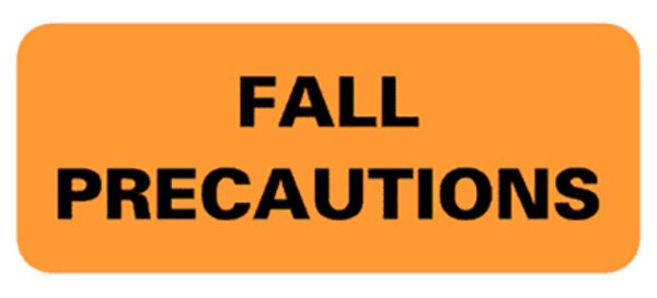 Chart Label - Fall Precautions
